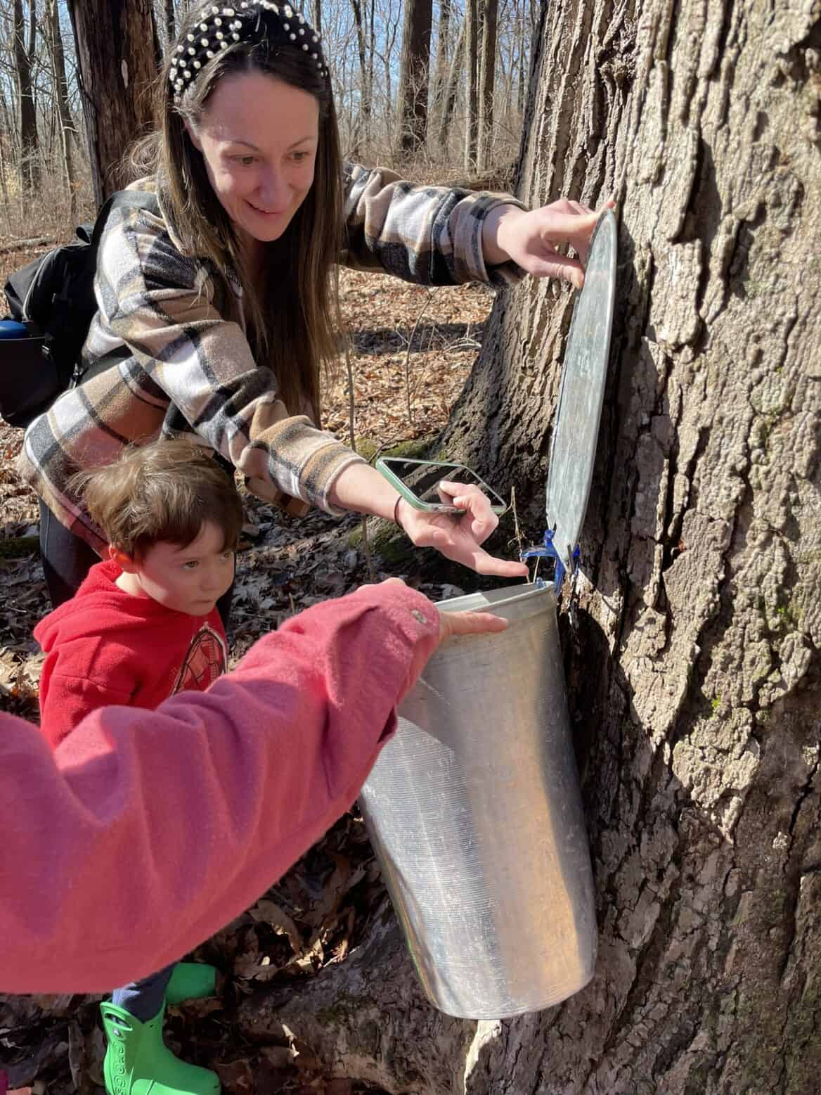 Maple Sugaring at Schiff Nature Preserve