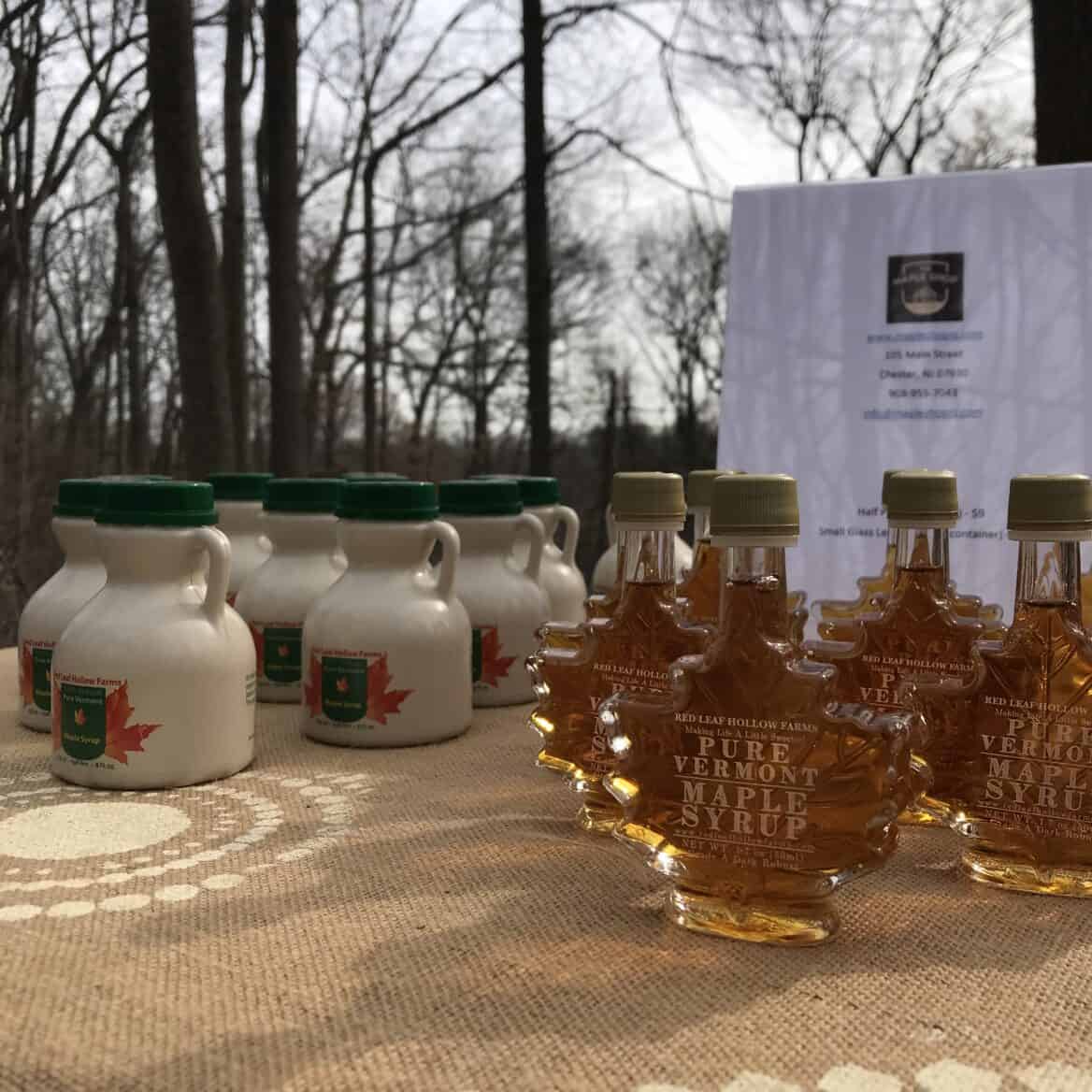Maple Sugaring at Schiff Nature Preserve